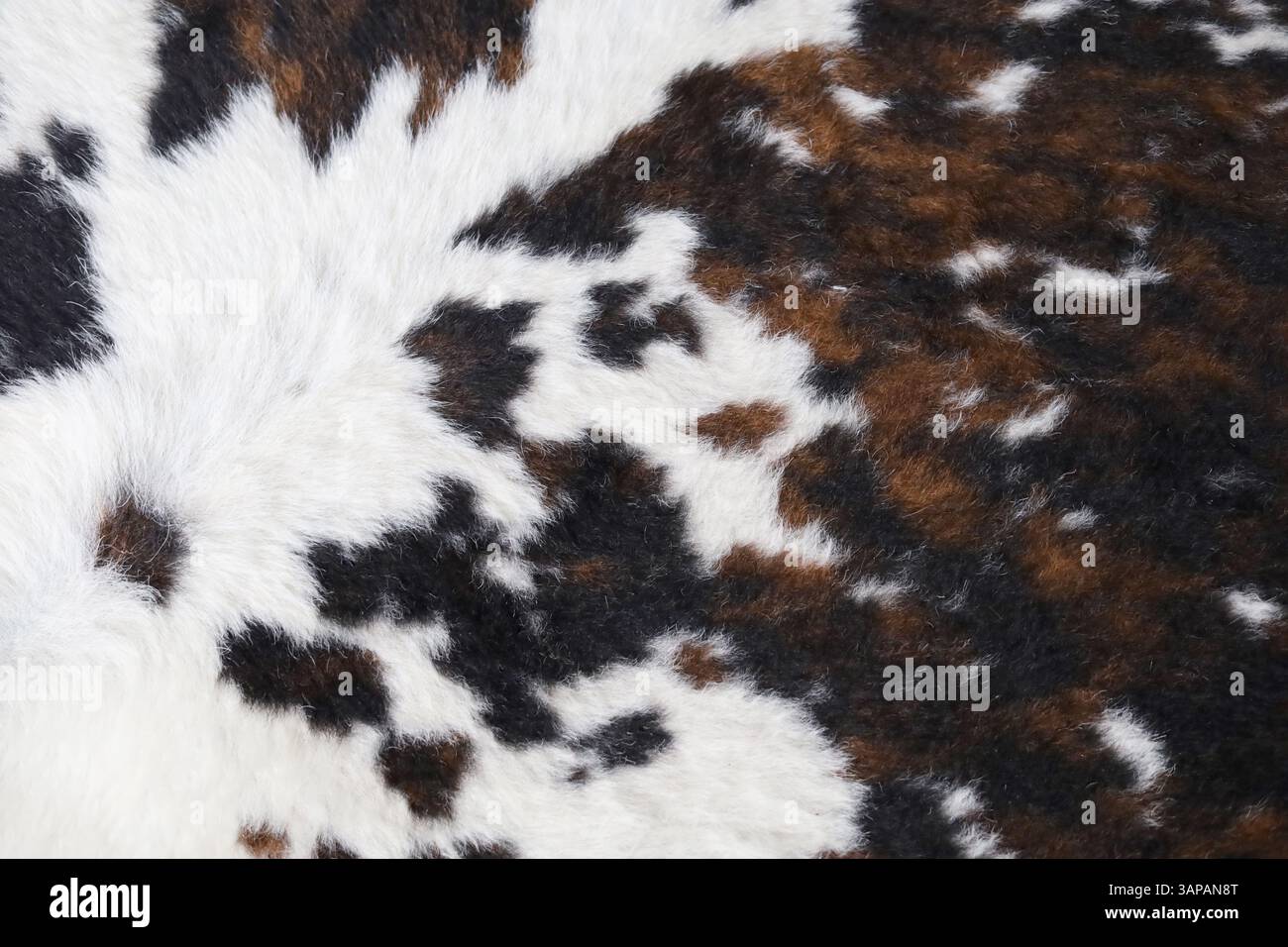 Close up texture of the white, brown and black cow hide Stock Photo - Alamy