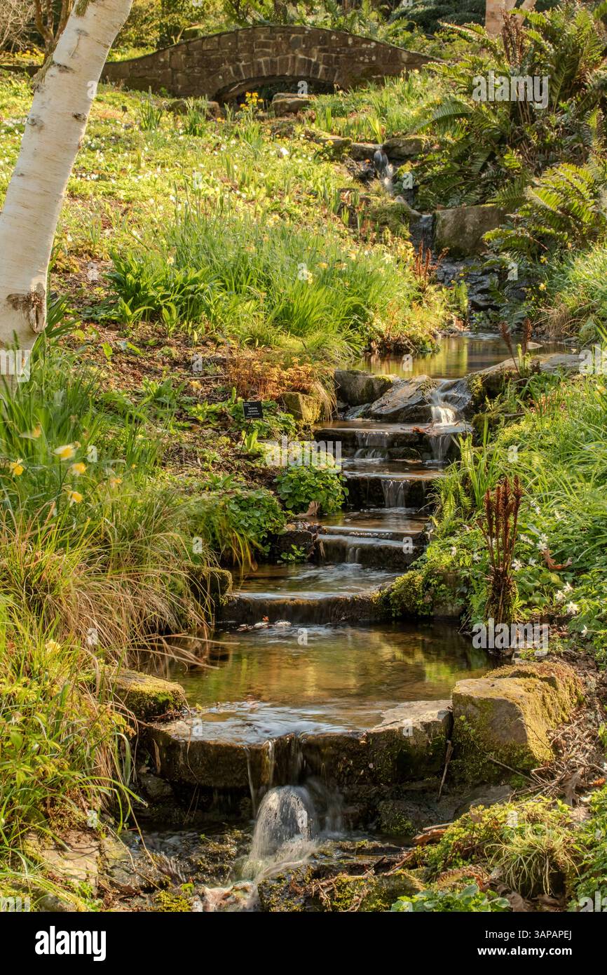 RHS Garden Rosemoor, botanical garden in North Devon, England.Alluring ...