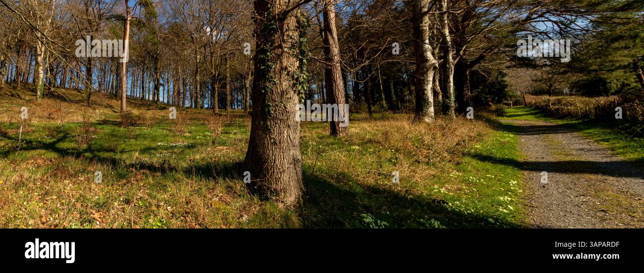 RHS Garden Rosemoor, botanical garden in North Devon, England.Alluring ...