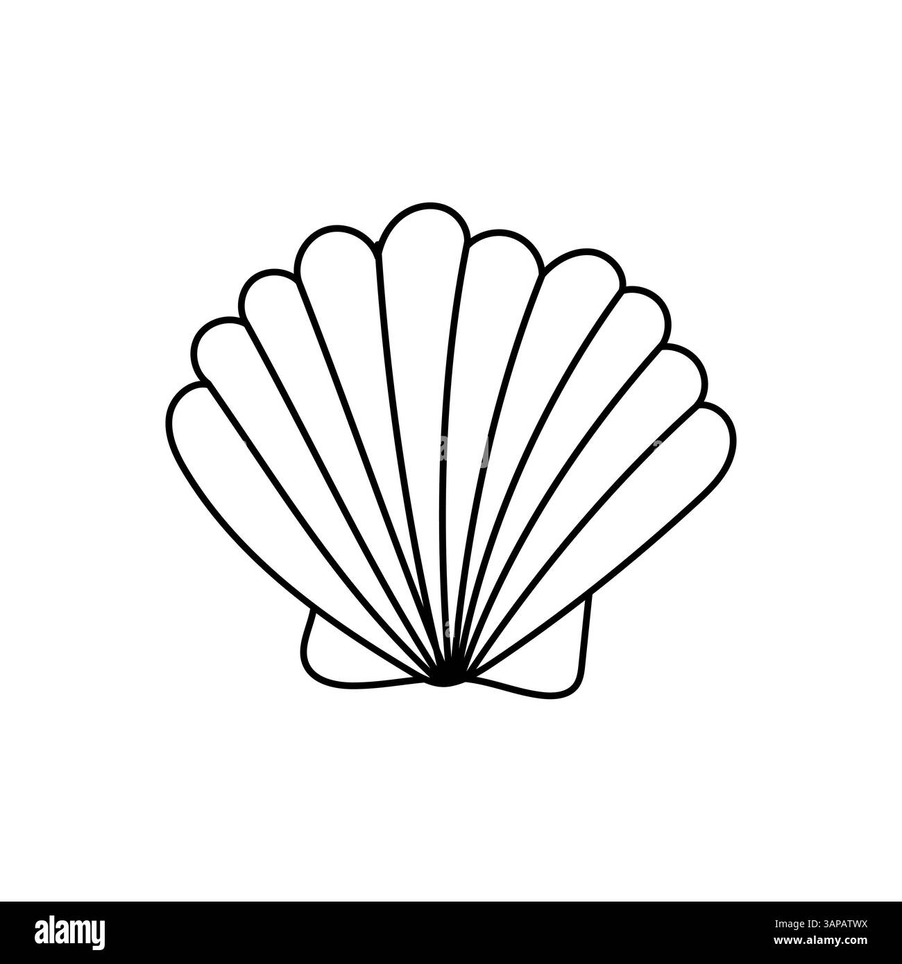 Clean lineart seashell illustration in black and white, ideal for ...