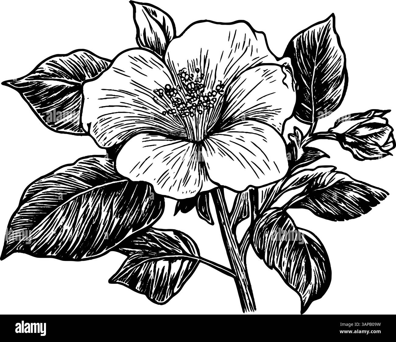 Published woodcut Stock Vector Images - Alamy