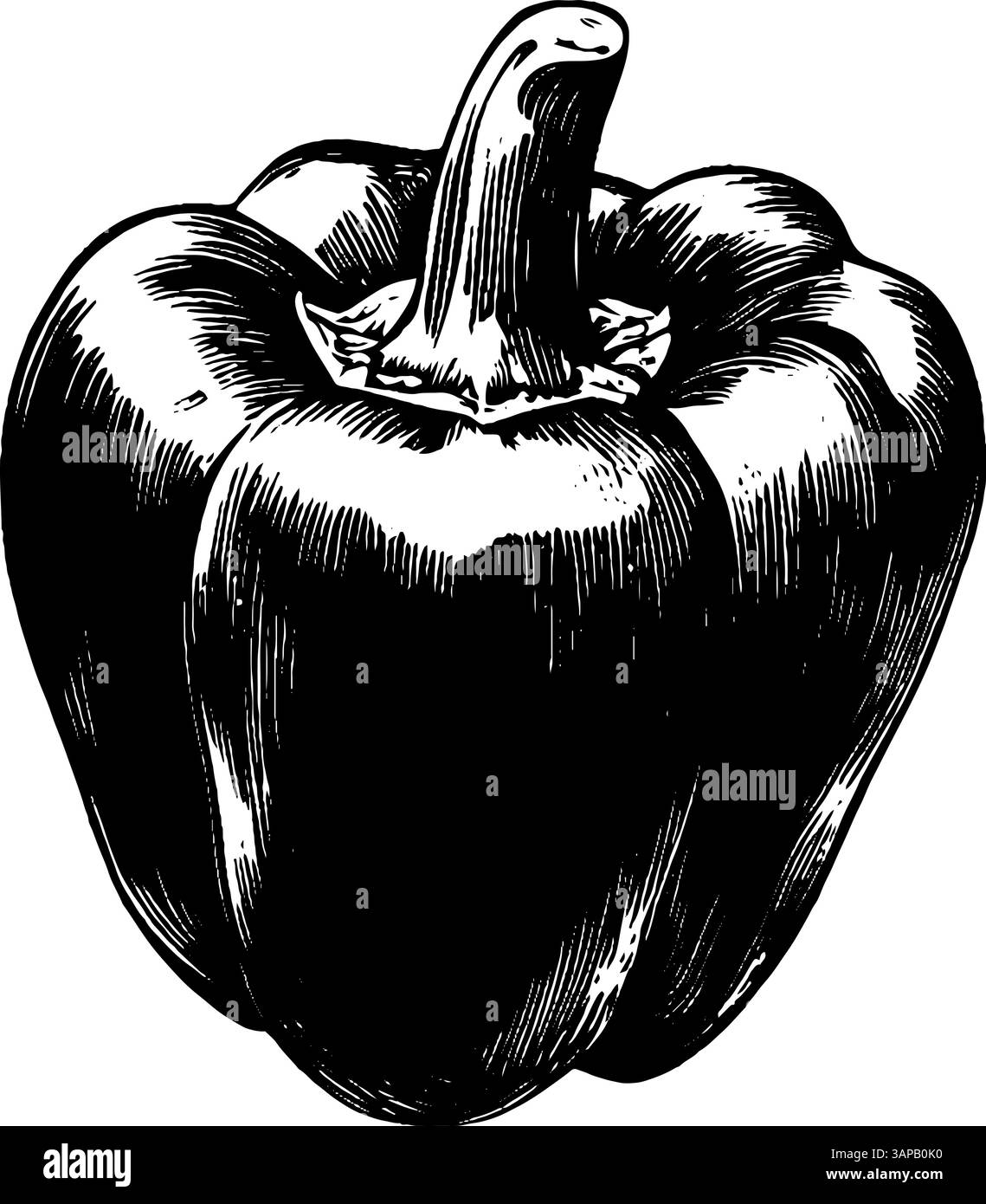 Craft beer sampling Stock Vector Images - Alamy