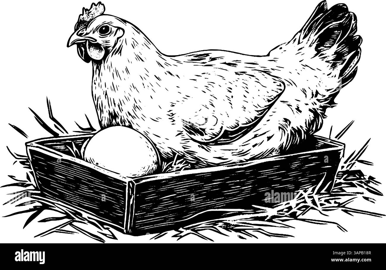 A chick is emerging from its shell in this vintage woodcut illustration ...