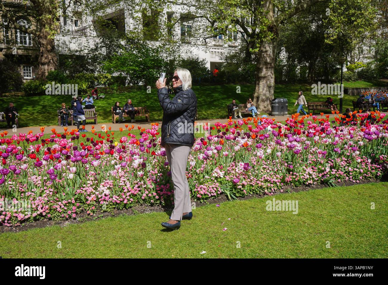 London UK 16 April 2025. People admire a the vibrant colours of tulips ...