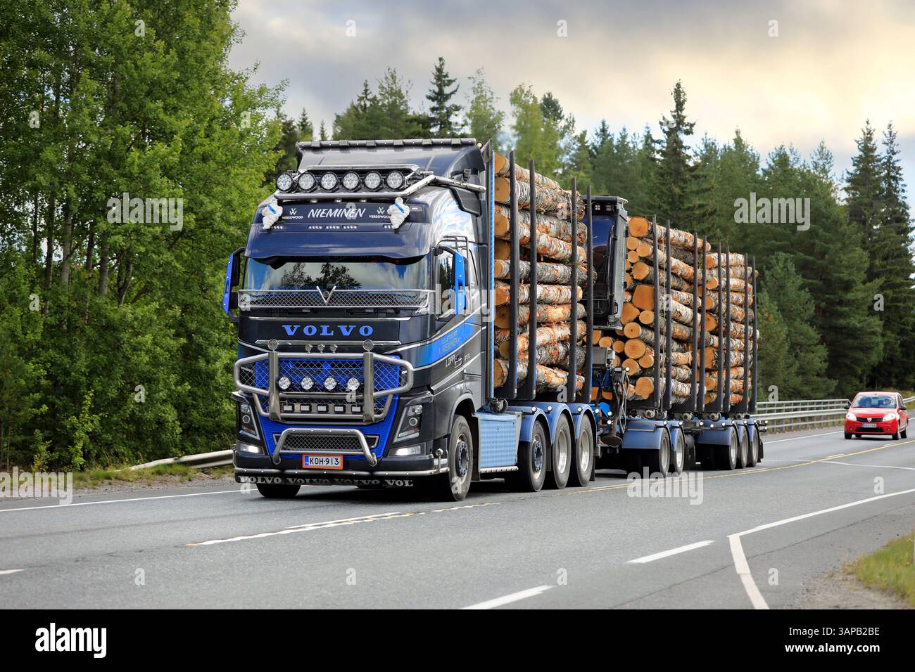 Beautifully customized Volvo FH logging truck transports birch log load ...