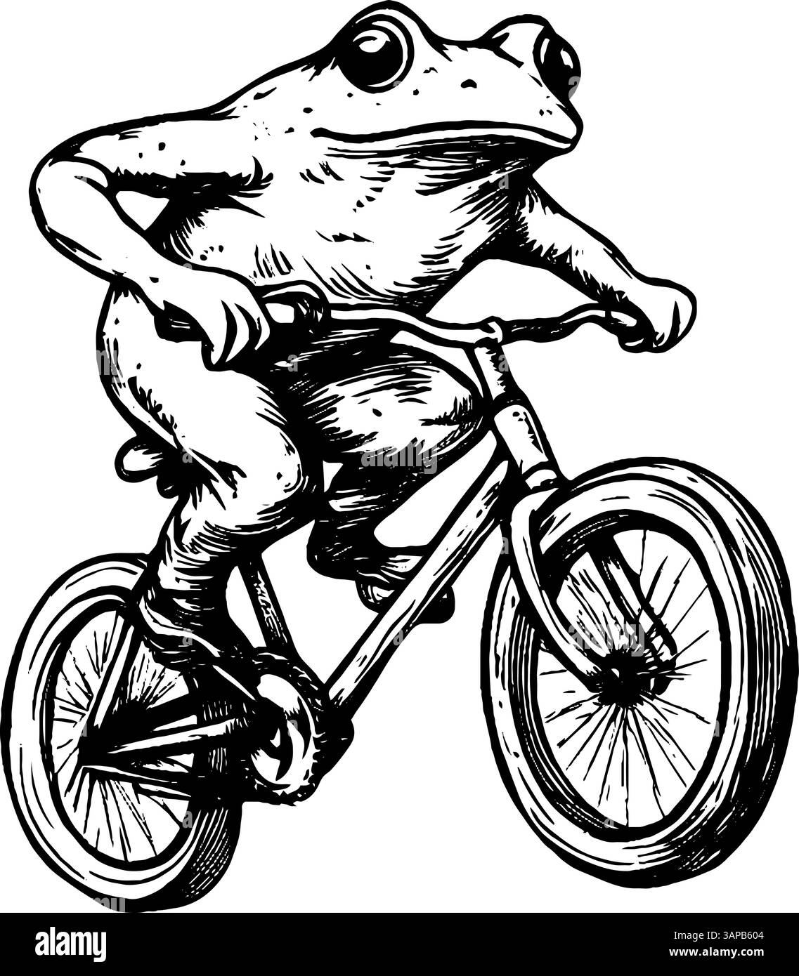 Hop botanical illustration hi-res stock photography and images - Alamy