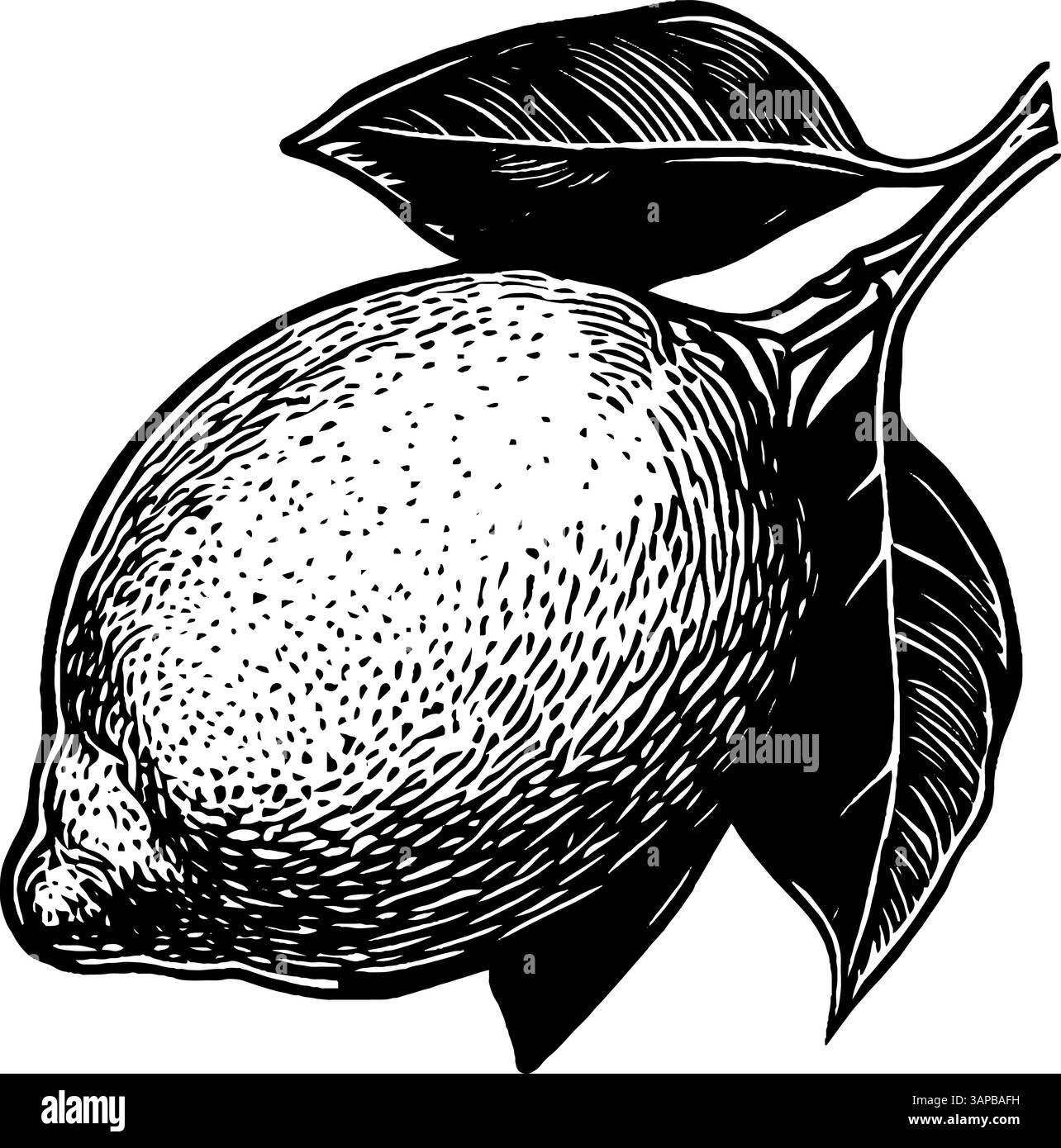 Intricate table details Stock Vector Images - Alamy