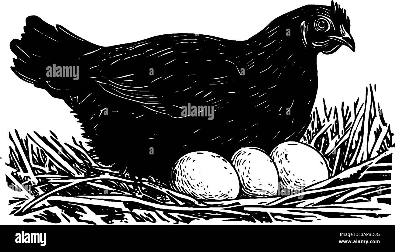 This woodcut illustration details a mohawk haircut, highlighting its ...