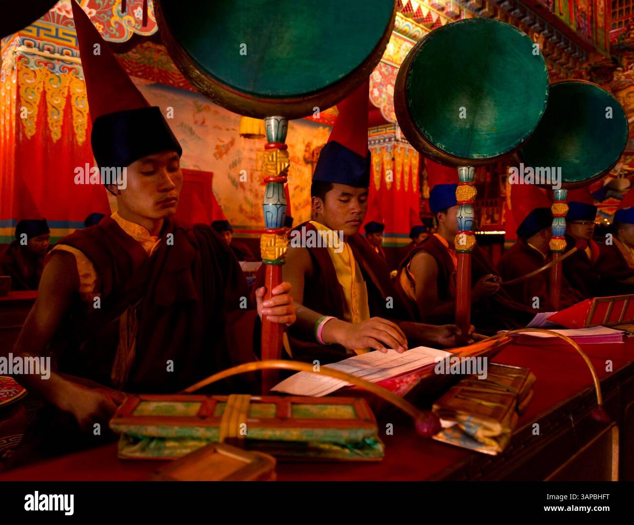 Novice buddhist monk teacher hi-res stock photography and images - Alamy