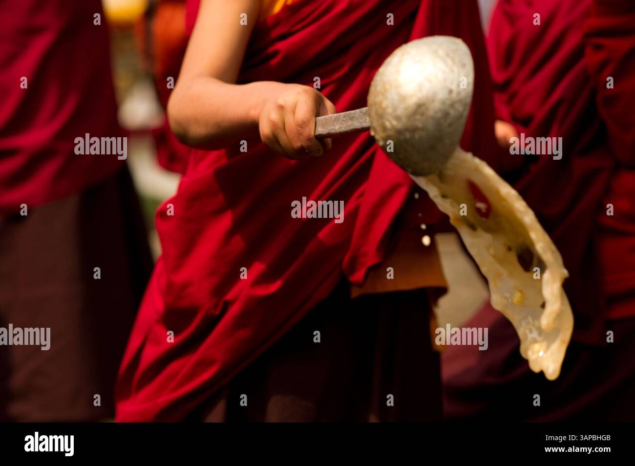 Heritage trees sikkim hi-res stock photography and images - Alamy