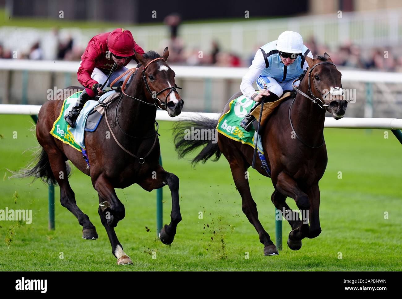 High Stock ridden by David Probert during the bet365 Wood Ditton Maiden ...