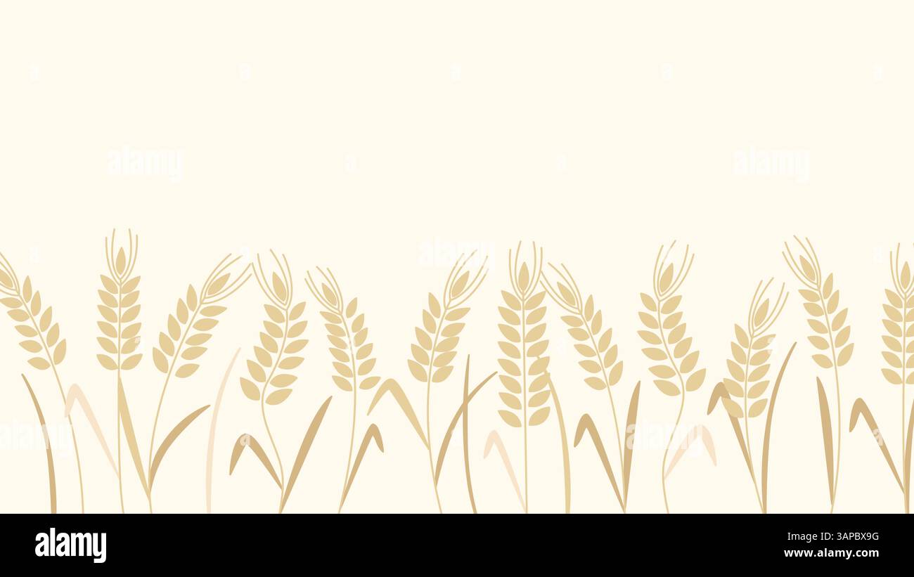 Horizontal banner spikelets of ripe wheat. Ears of cereal crops in ...