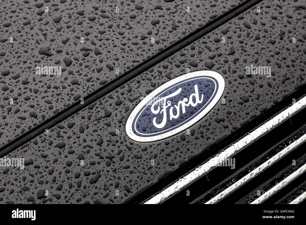 Ford logo on a wet car hood after rain Stock Photo - Alamy