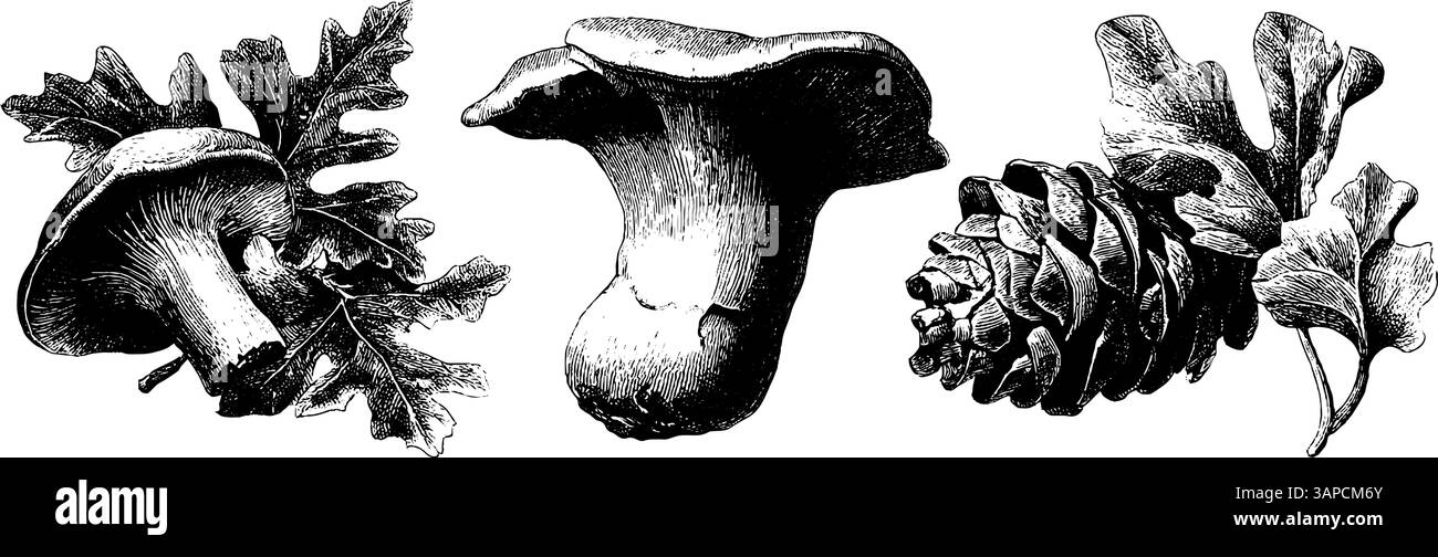 Engraved style illustration of moon crater with shoe imprint ...