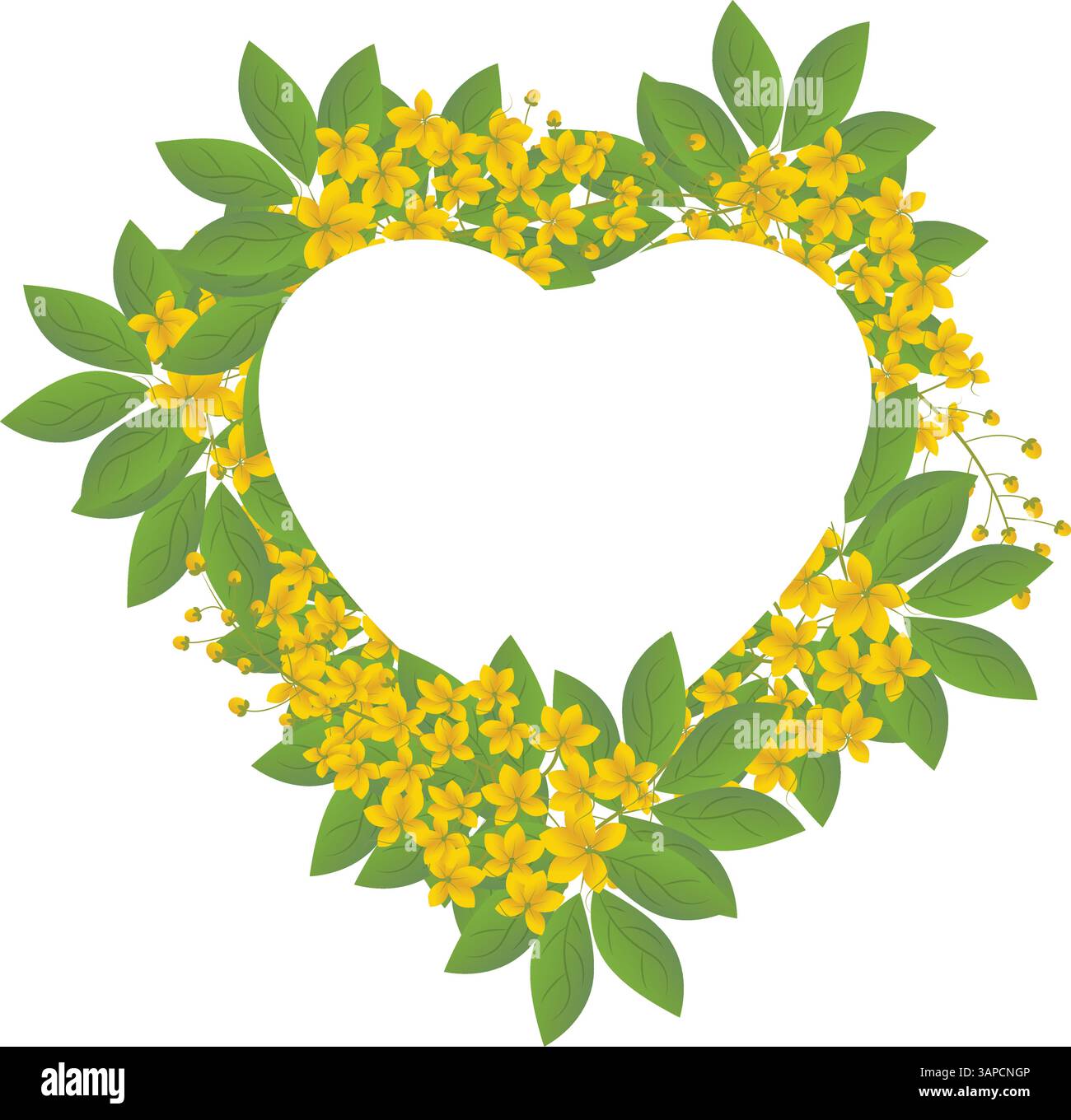 Cassia Fistula Golden Shower Tree Flower Vector Illustration Stock Vector Image & Art - Alamy