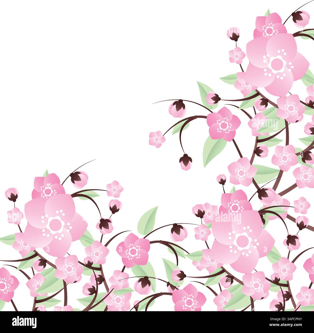 Sakura Cherry Blossom Branch Vector Illustration Stock Vector Image ...