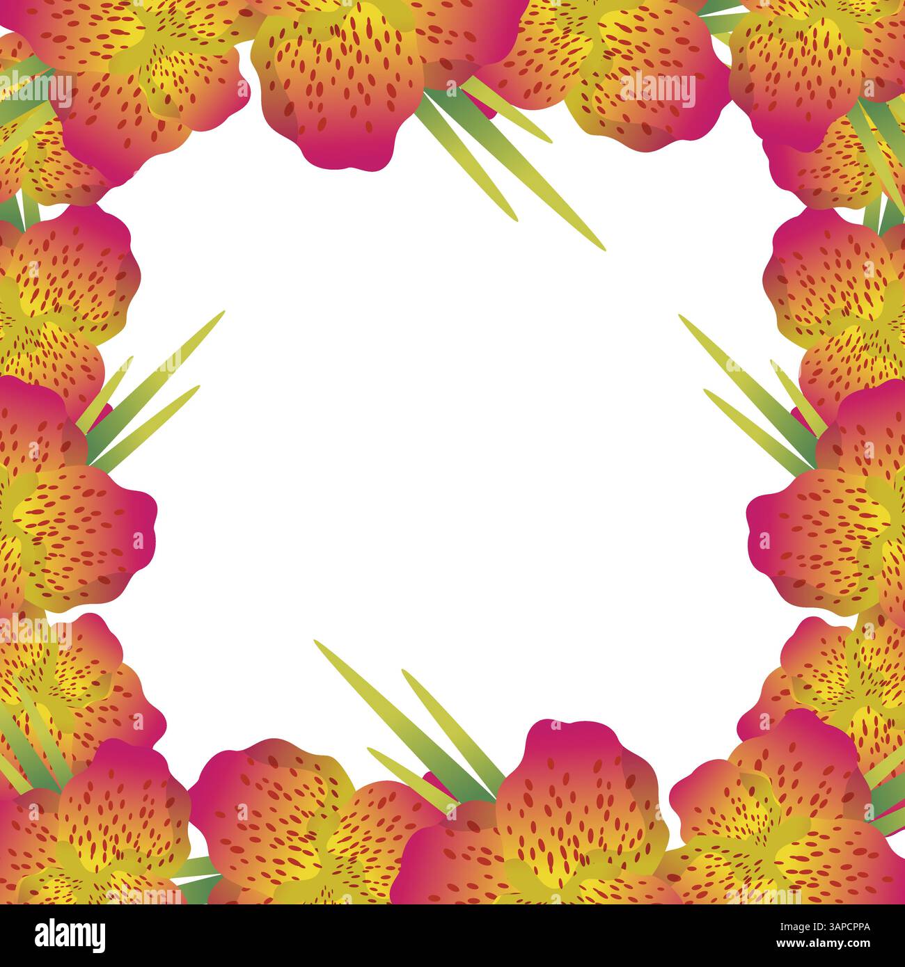 Canna Lily Tropical Flower Vector Illustration Stock Vector Image & Art ...