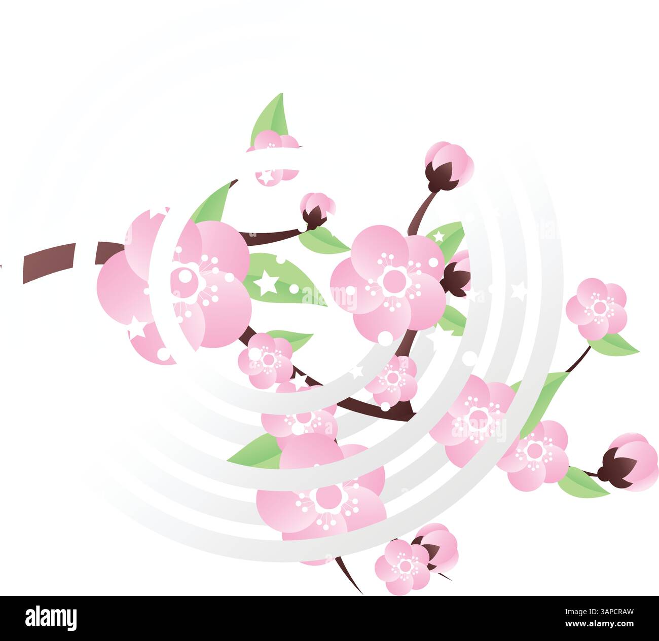 Sakura Cherry Blossom Branch Illustration Stock Vector Image & Art - Alamy
