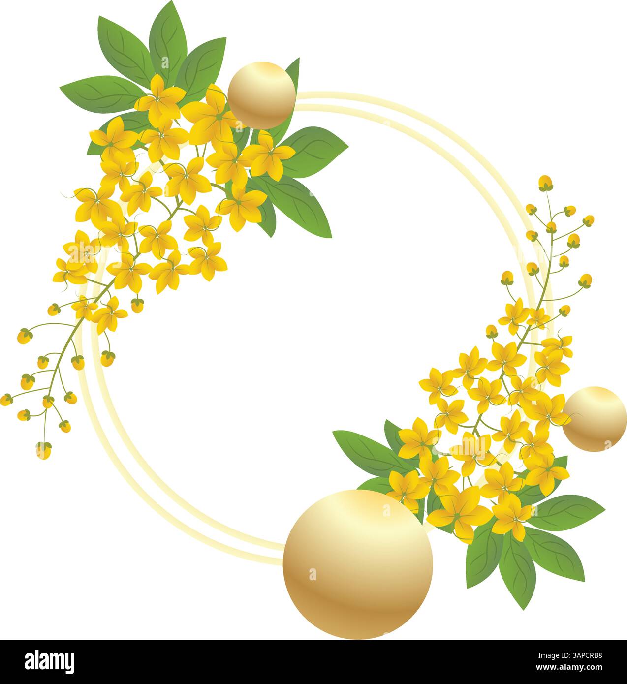 Cassia fistula blossom in Stock Vector Images - Alamy