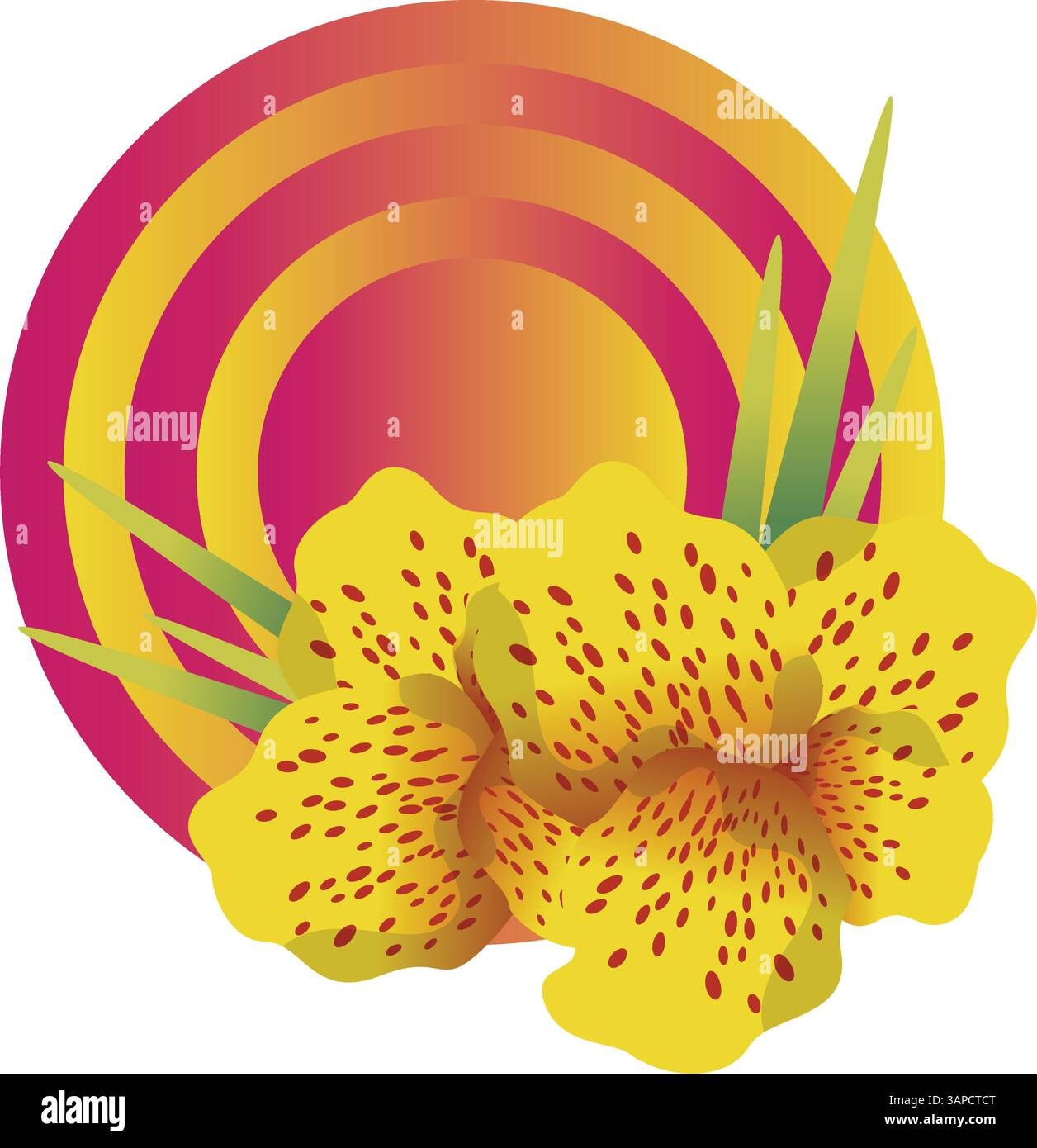 Canna Lily Tropical Flower Illustration Stock Vector Image & Art - Alamy