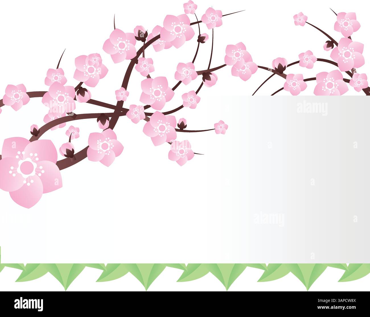 Sakura Cherry Blossom Branch Illustration Stock Vector Image & Art - Alamy