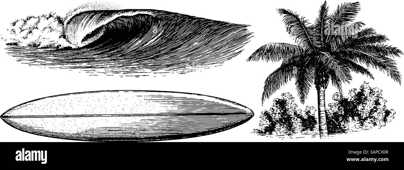 Vintage surfboard and wave with palm tree illustration for tropical ...