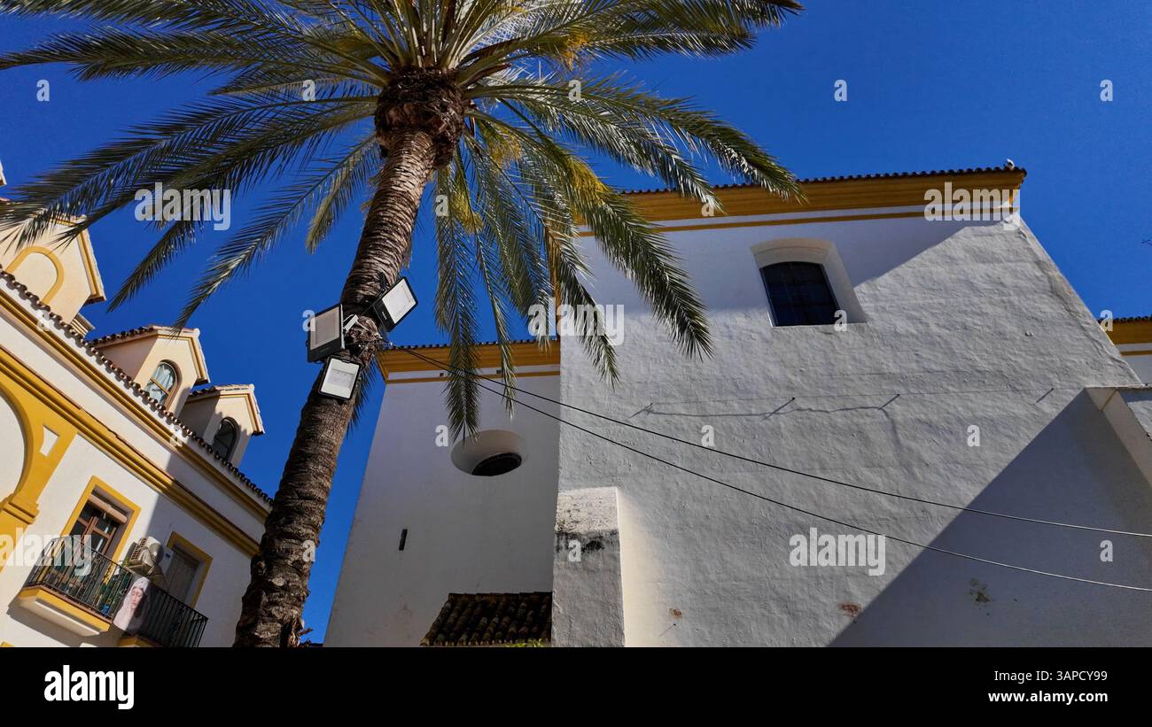 White facade of a typical Andalusian building with a palm tree and ...