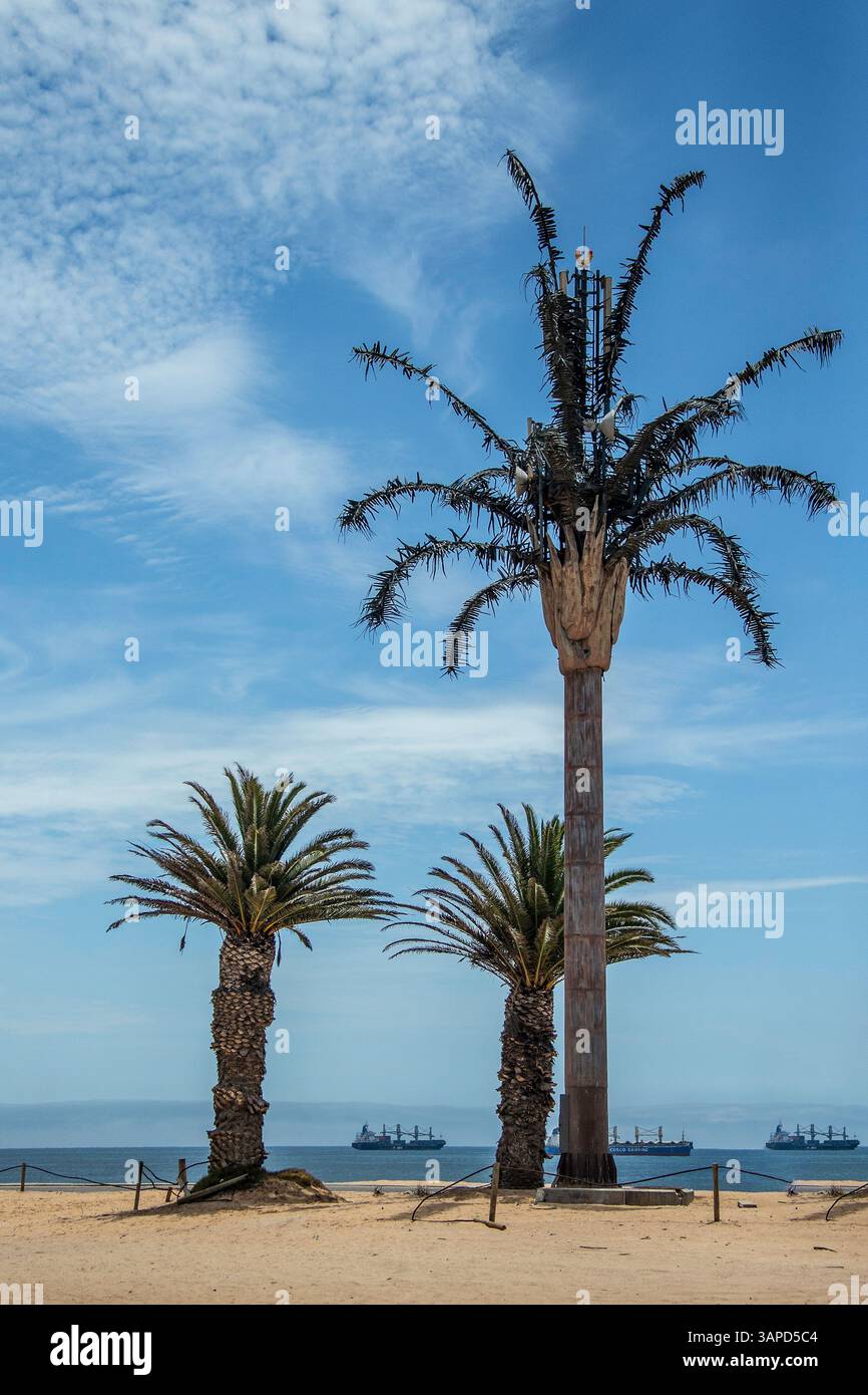 Two real palm trees and a telecommunications mast, in disguise, in the ...