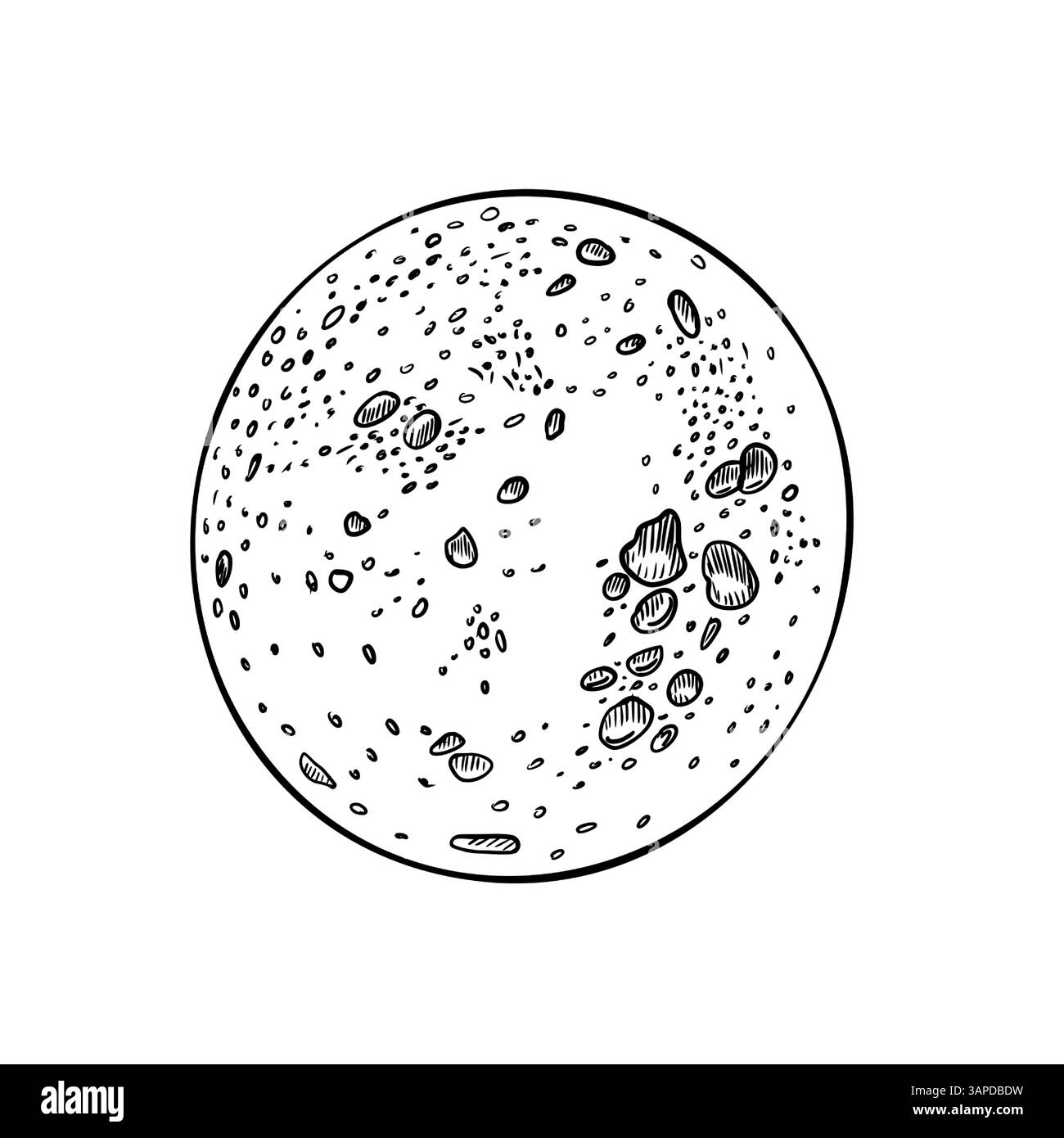 Black white outline vector illustration of a full moon hand drawn in a ...