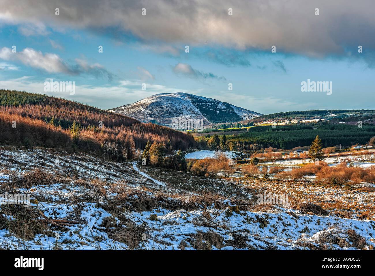 Annasghhill hi-res stock photography and images - Alamy