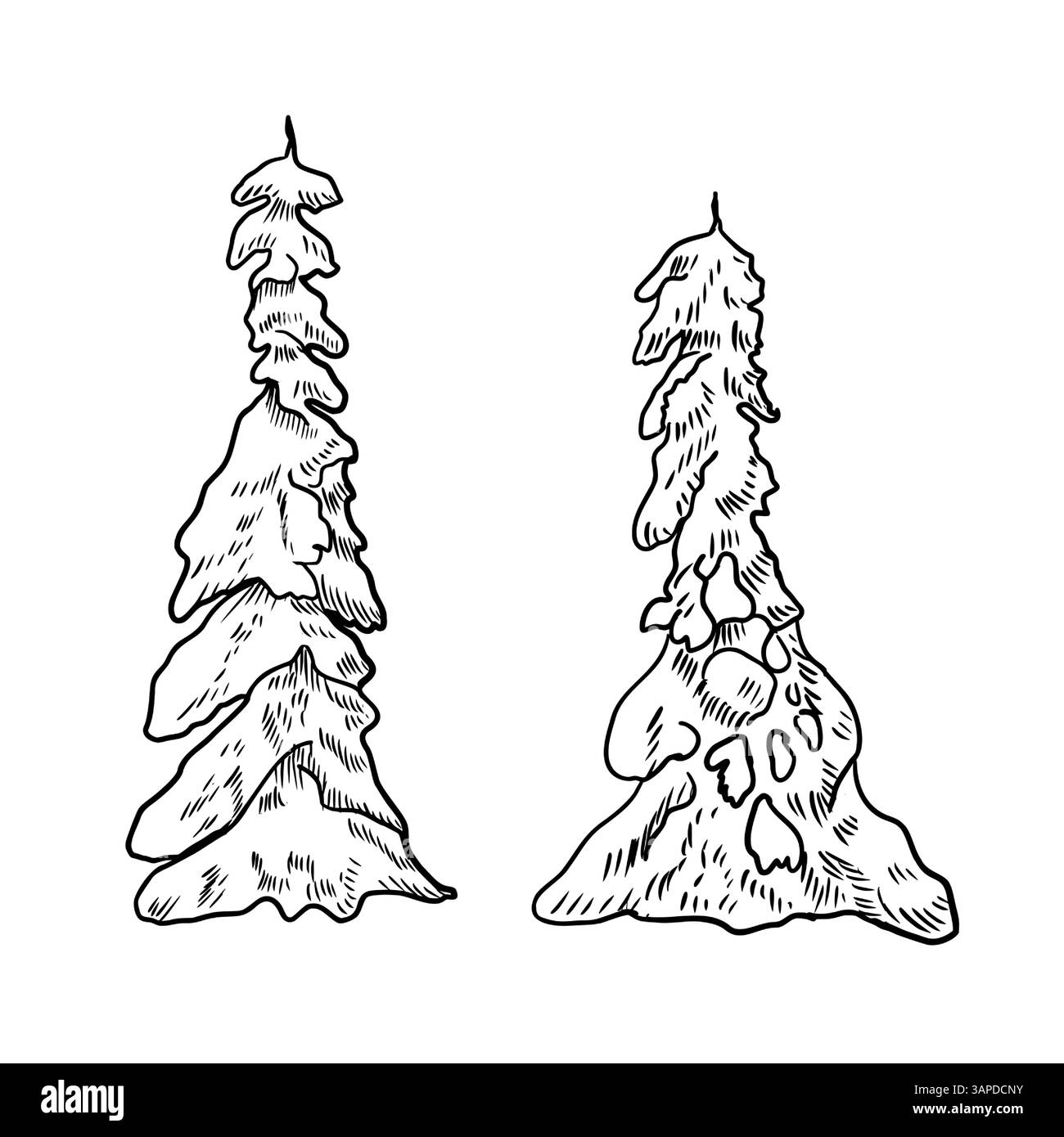 Conifer trees with snow hand drawn black and white outline vector ...