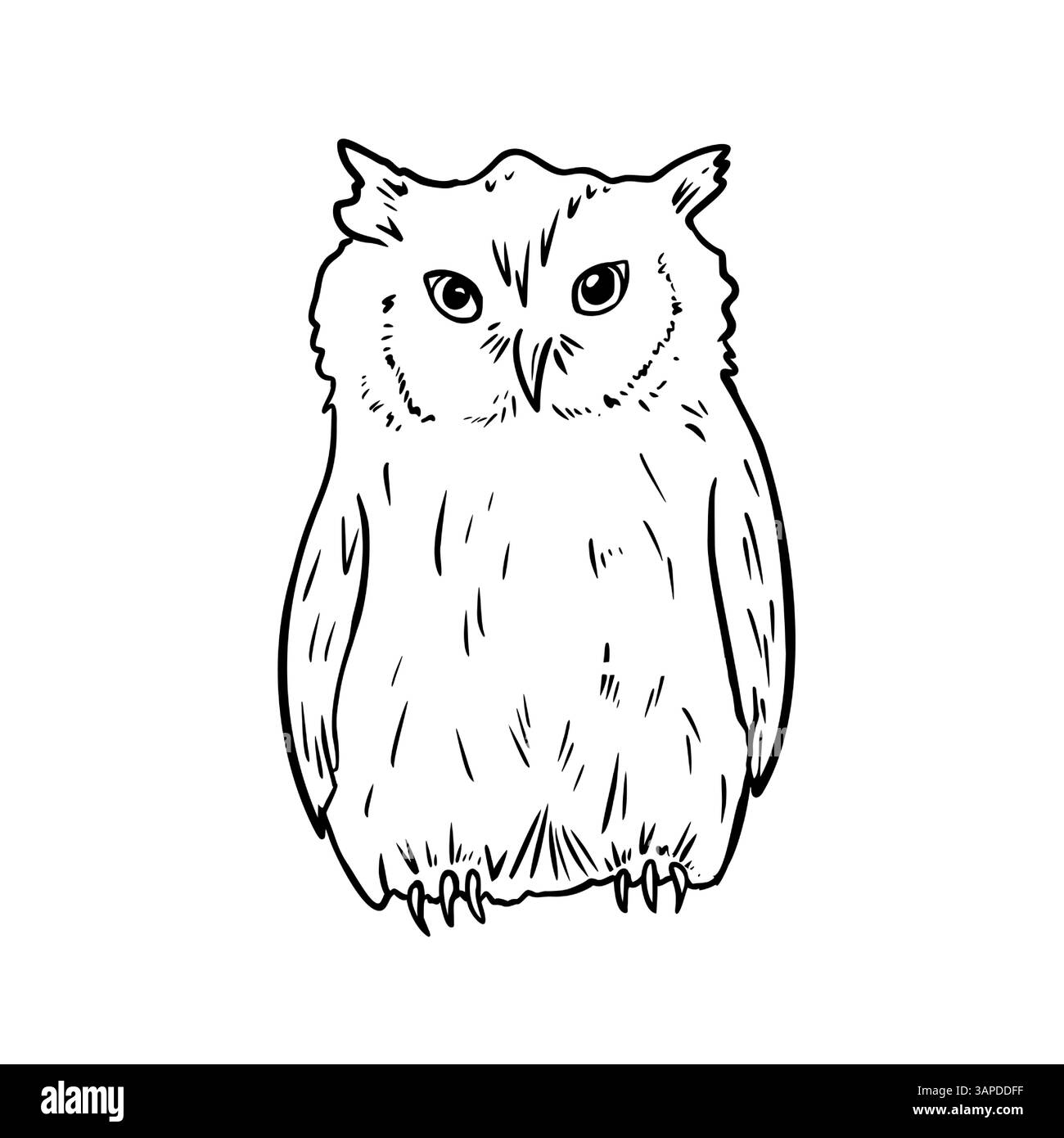 Owl hand drawn black white vector illustration. Snowy owl line art ...