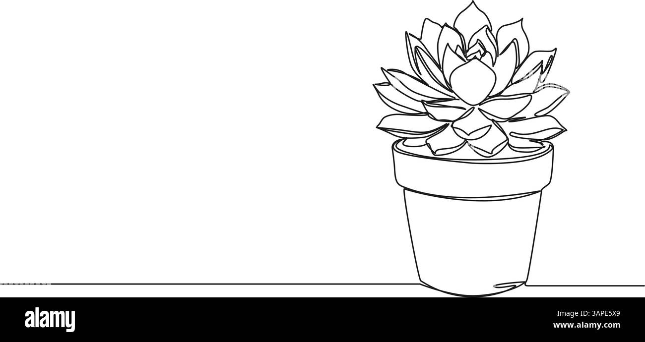 continuous single line drawing of potted succulent plant, line art ...
