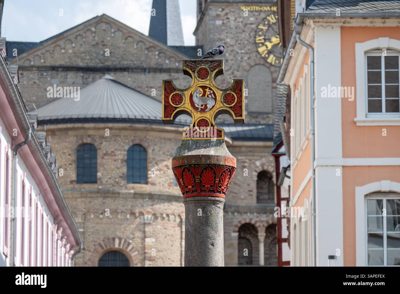 Trier, Germany. 14th Apr, 2025. A dove sits on the market cross in ...