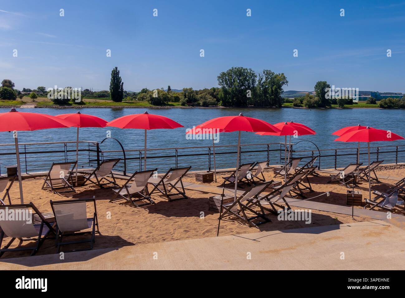 A beach area beside the river Rhine features rows of red umbrellas and ...