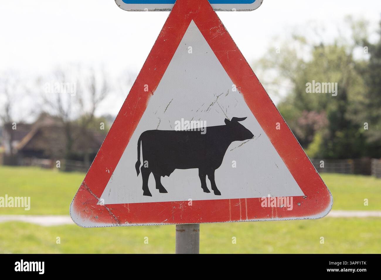 Dorney, UK. 16th April, 2025. A cattle warning sign on Dorney Common in ...