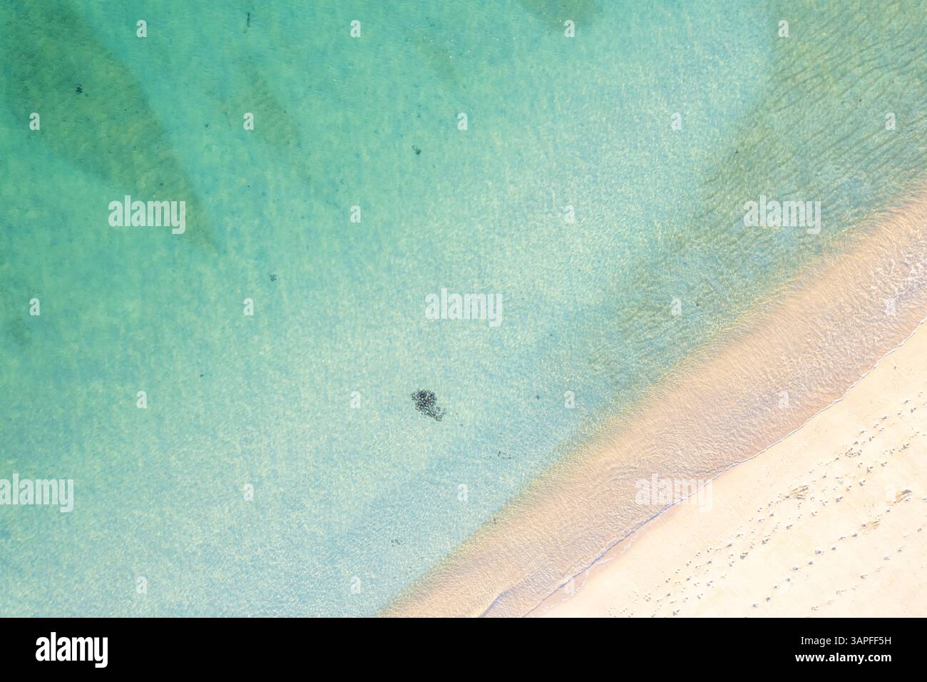 Background texture concept summer, peaceful swim in the azure teal sea ...