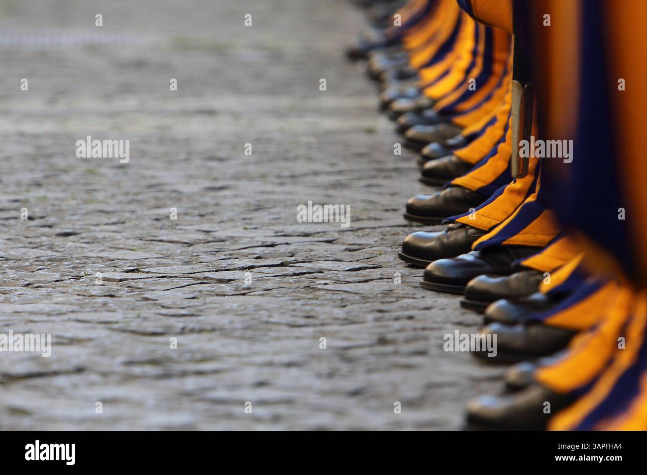 May 6, 2011 - Vatican City State (Holy See) - Swiss Guard's swearing ...