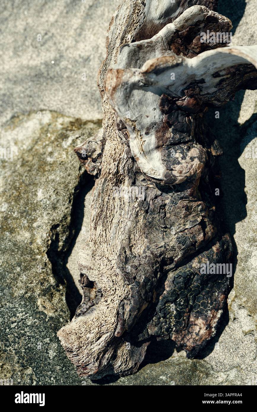 wood and rocks structure Stock Photo - Alamy