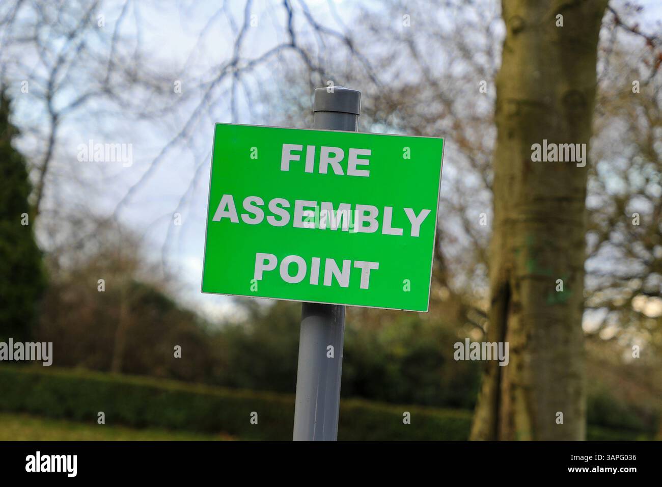 A sign saying 'Fire assembly point', England, UK Stock Photo - Alamy