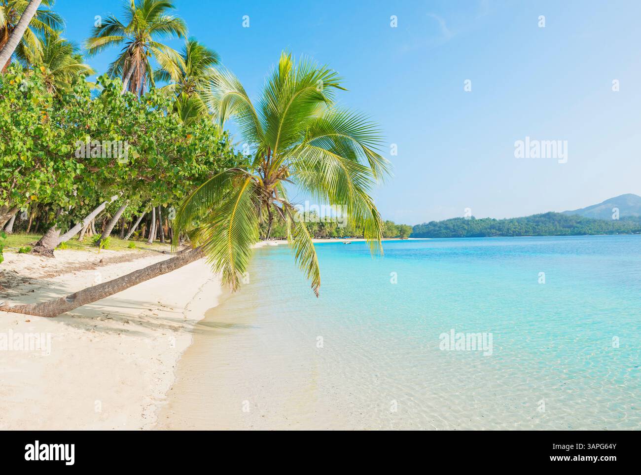 Tropical beach, Nanuya Lailai Island, Yasawa island group, Fiji, South ...