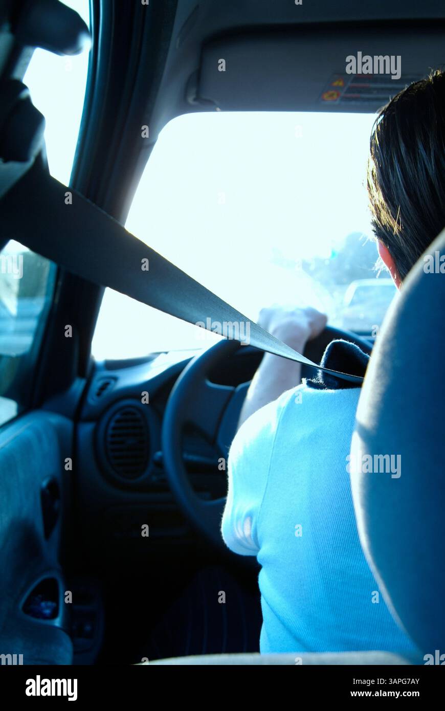 Driver wearing a seat belt Stock Photo - Alamy