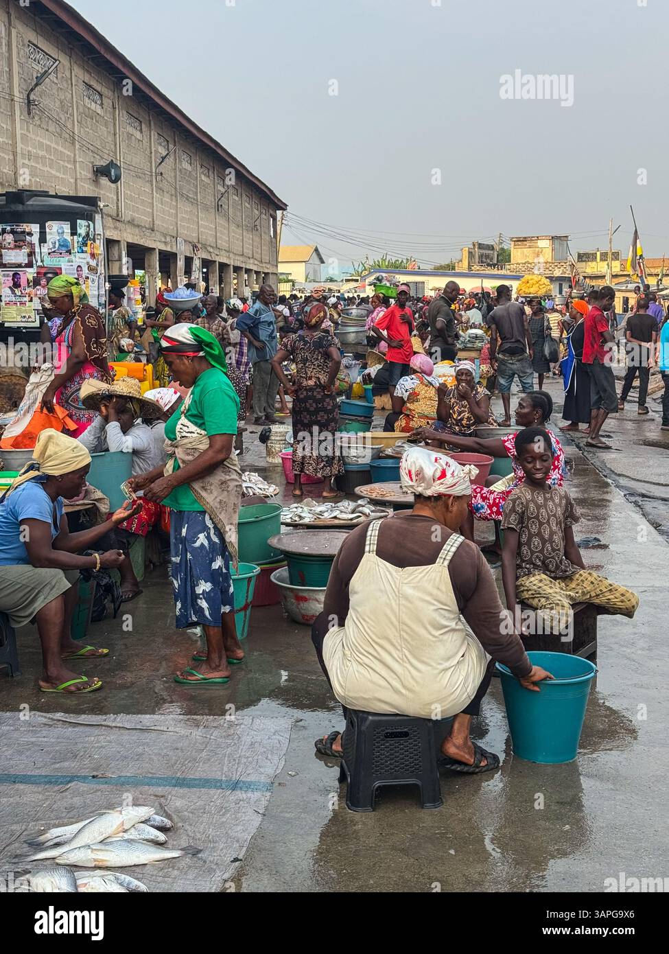 Ghana, Elmina. Early Morning in the Elmina Fish Market Stock Photo - Alamy