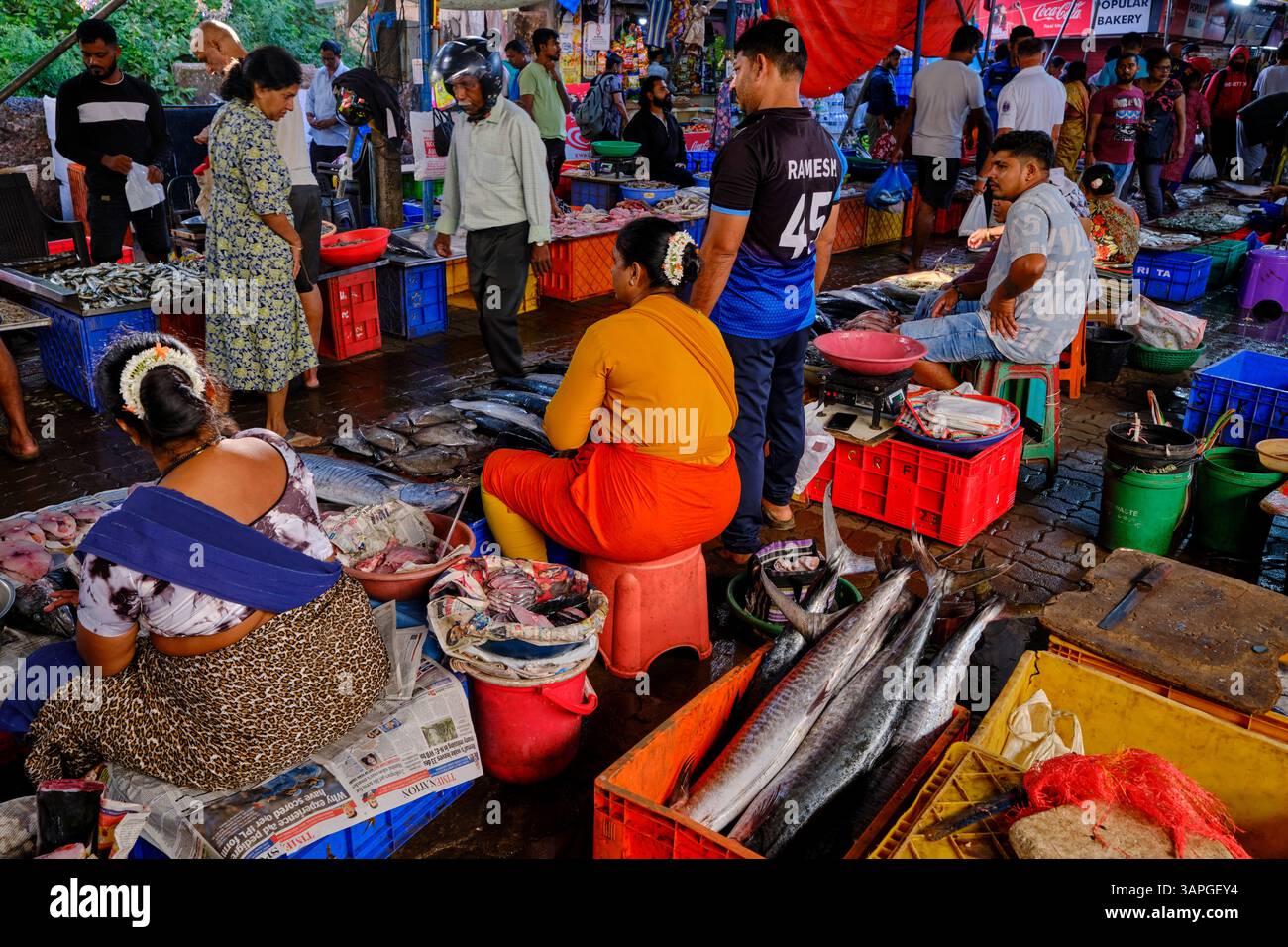 India, Goa state, Panaji (or Panjim), the state capital, fish market ...