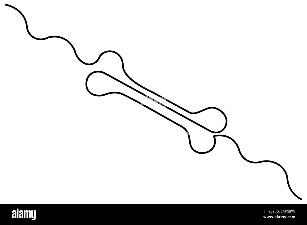 Continuous one-line drawing of a dog bone background vector ...