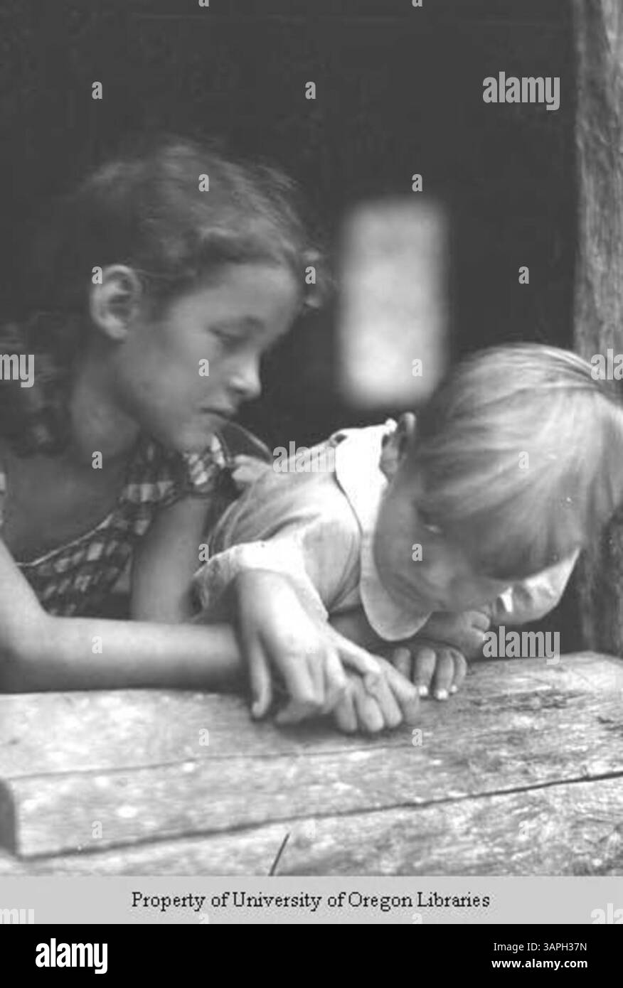 This photograph features two children leaning on a log. The image is ...