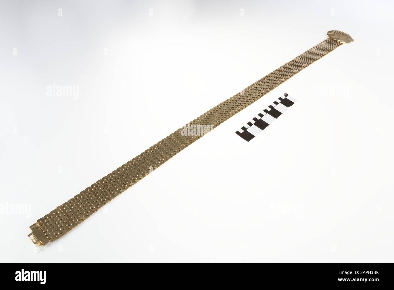 This gold cinch belt with a clamshell buckle belonged to Bonnie Blake ...