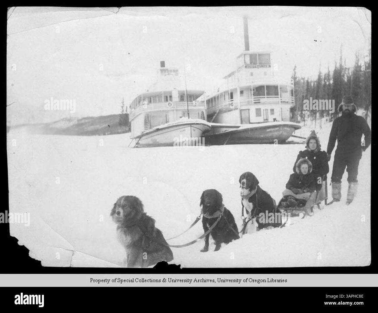 This black-and-white image shows the Hartshorn family on a dog sled ...