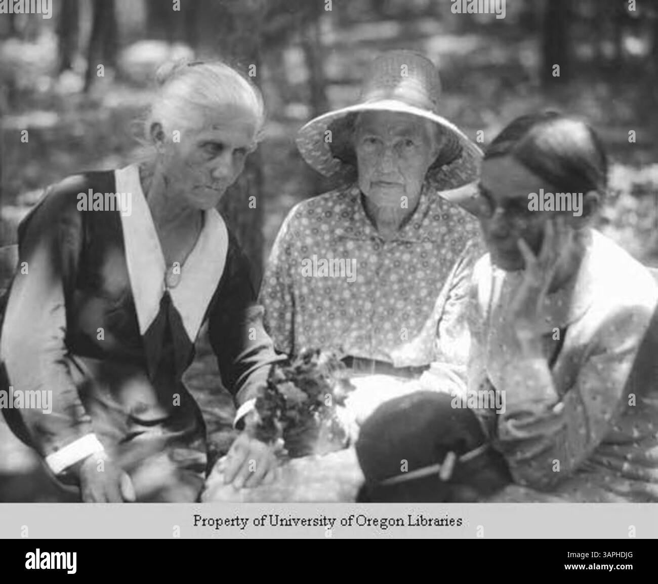 This photograph from Old Timer's Day shows three women enjoying a ...