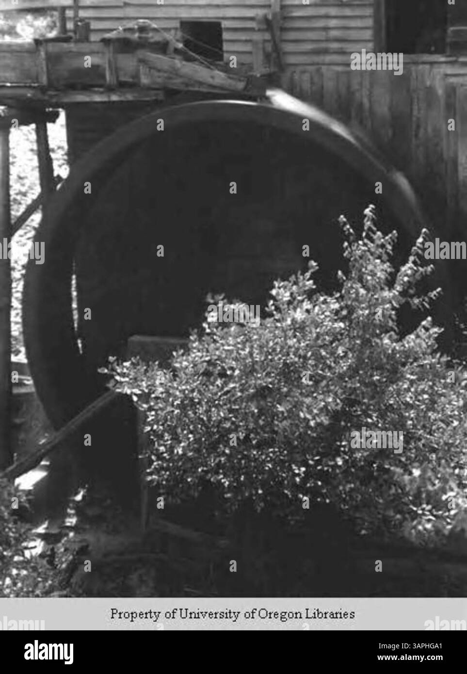 An image showing the mill of John Alexander Meadows, a significant ...